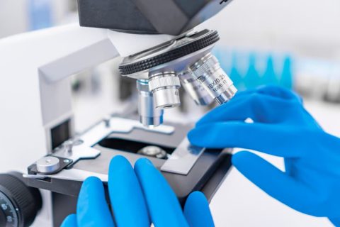 Histopathology Testing Services | TOPLAB® - NY, NJ & Nationwide